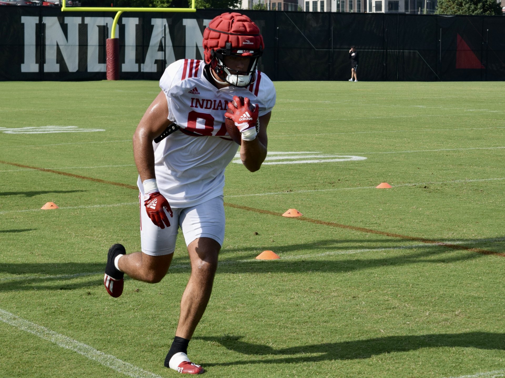 Aaron Steinfeldt – The Daily Hoosier